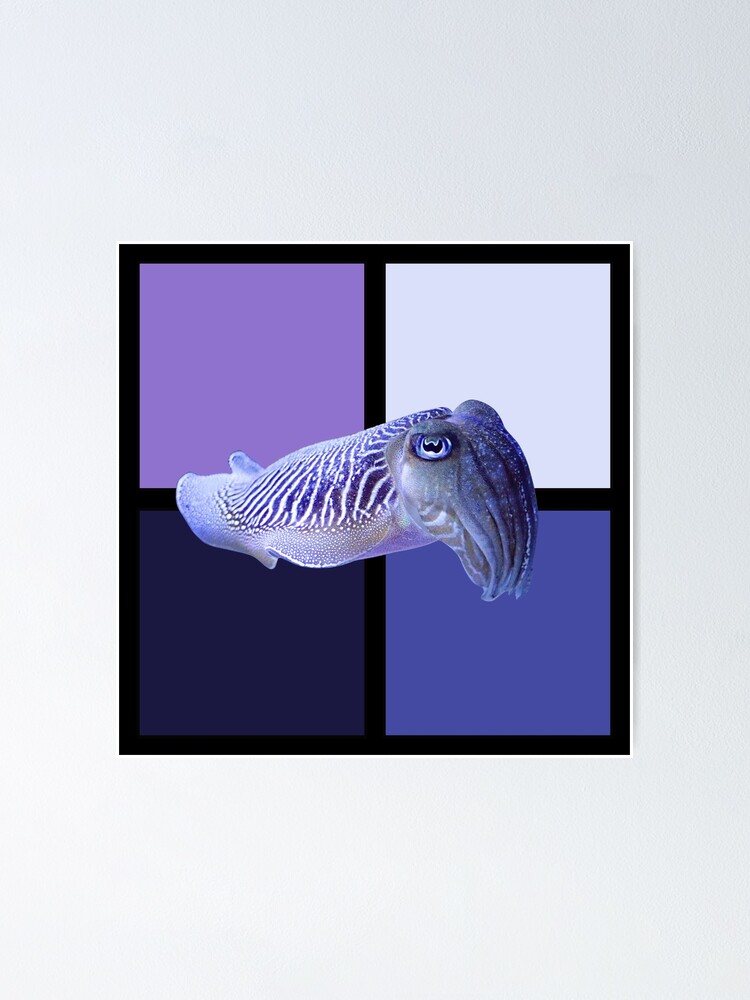 "Color Series - Cuttlefish" Poster for Sale by FlakeyBiscuit3 | Redbubble