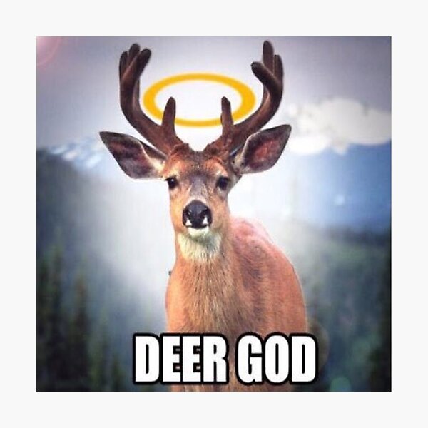 Angry Deer Memes