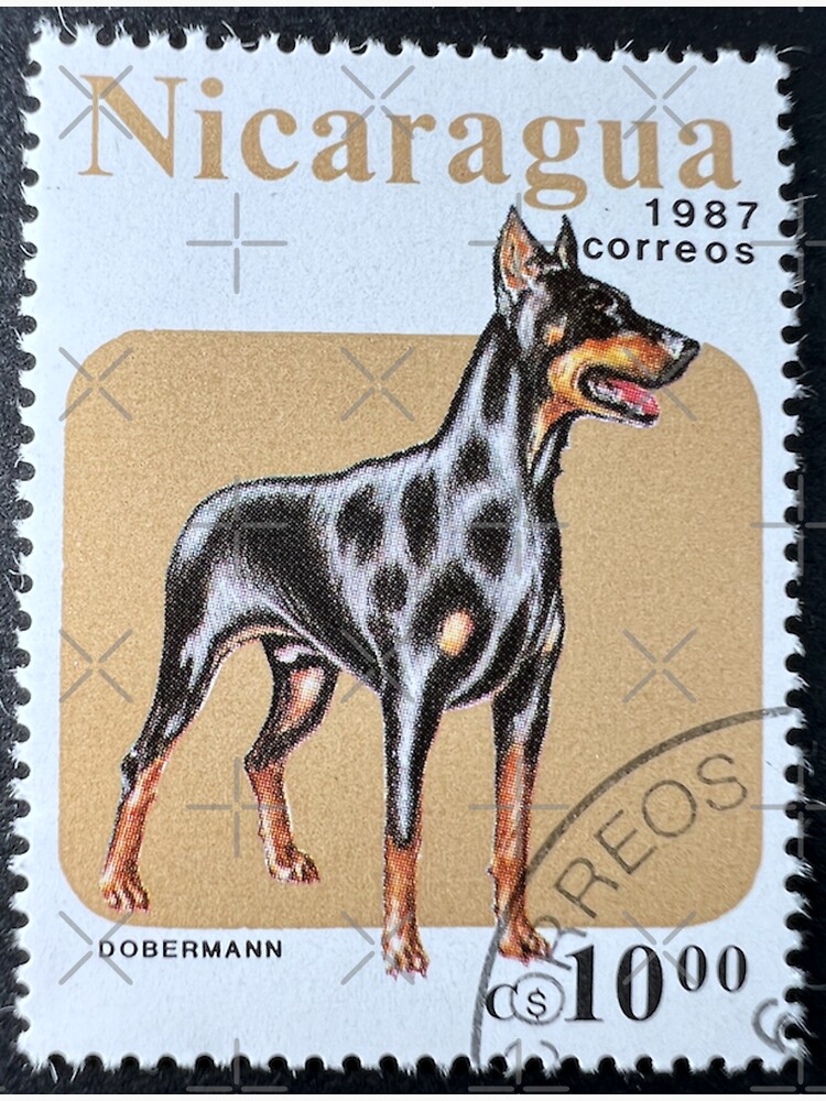 "Doberman Dog 1987 Vintage Postage Stamp" Sticker for Sale by Factory57 ...