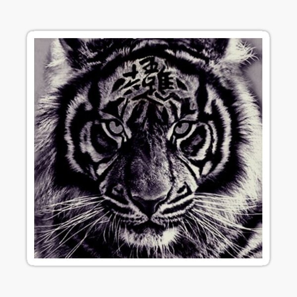 "Black Tiger" Sticker for Sale by Hangloman | Redbubble