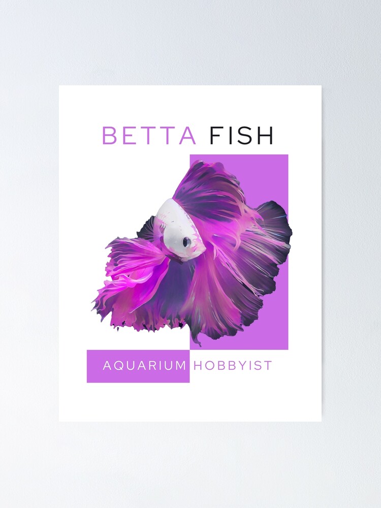 "Betta Fish" Poster for Sale by GFishy | Redbubble