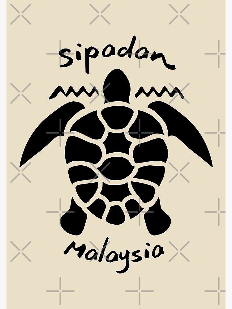 "Swimming with sea turtles - Sipadan Island, Malaysia - Scuba Diving ...