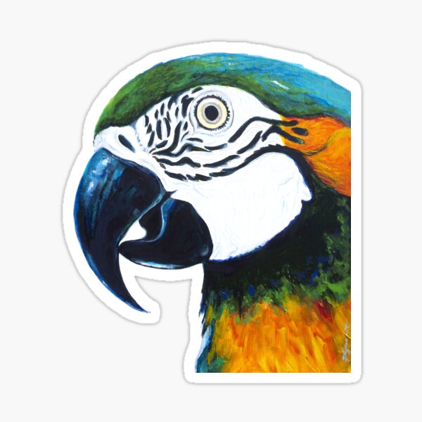 "Squawk" Sticker for Sale by eatlovepaint | Redbubble