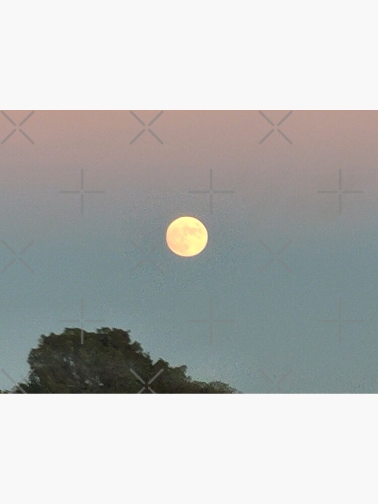 "Large Texas Moon 2021 - Redbubble" Sticker for Sale by Bleedingace ...