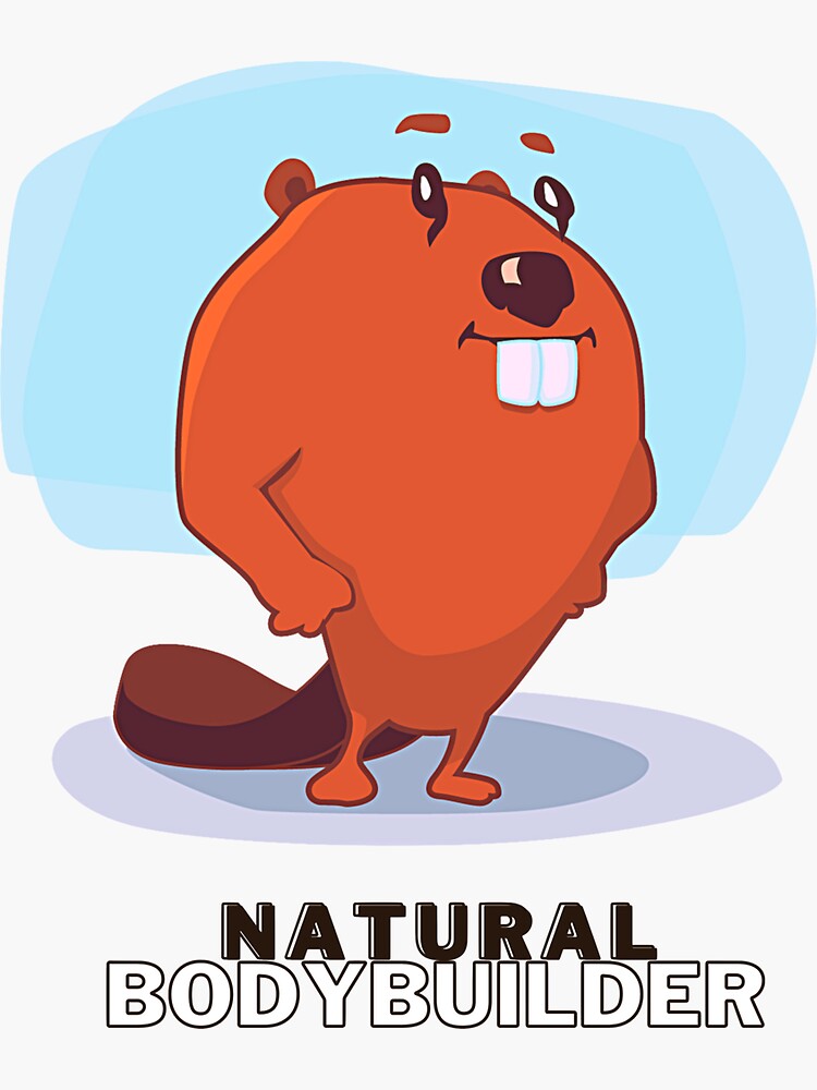 "Animal - funny beaver is strong and natural bodybuilder" Sticker for ...