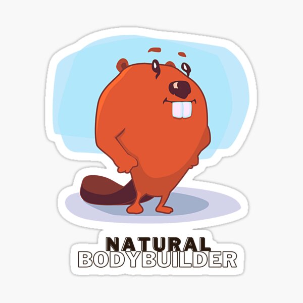 "Animal - funny beaver is strong and natural bodybuilder" Sticker for ...