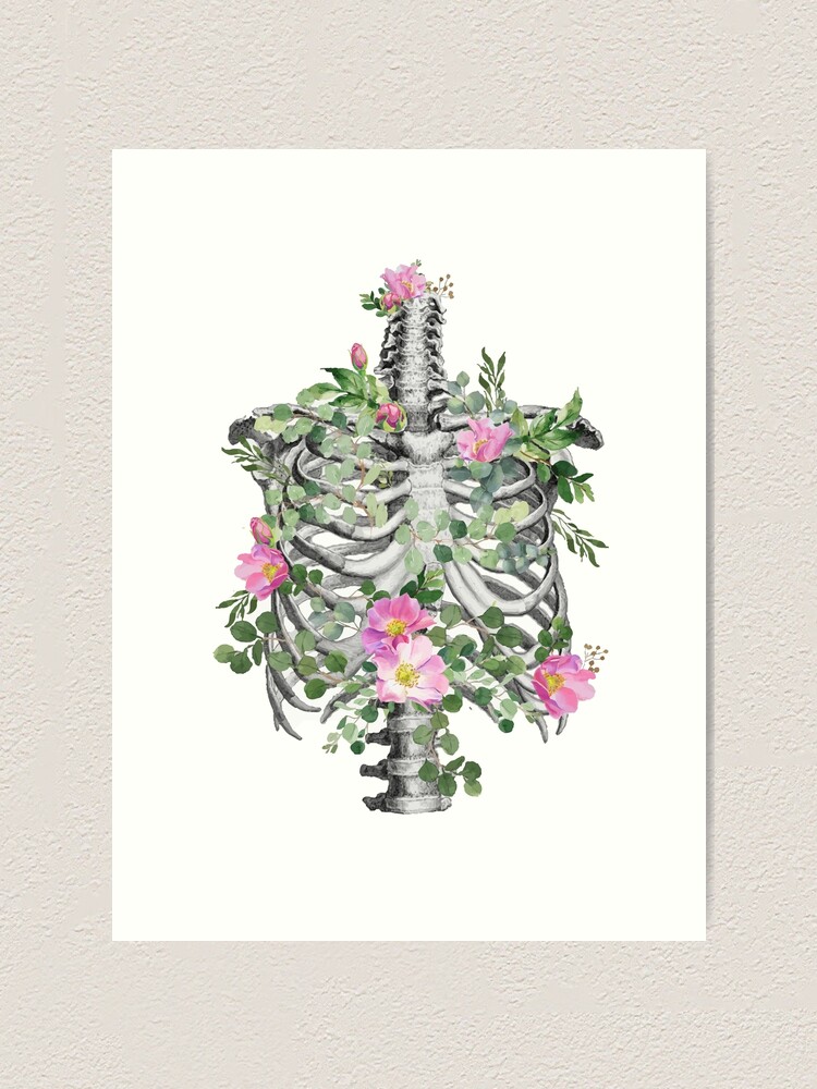 " Anatomy, ribcage, rib cage,skeleton pink roses" Art Print by ...