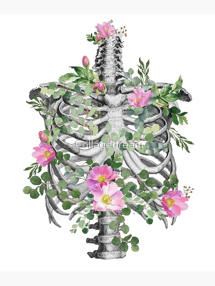 " Anatomy, ribcage, rib cage,skeleton pink roses" Poster for Sale by ...