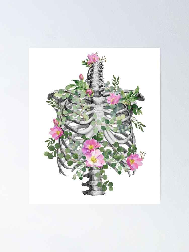 " Anatomy, ribcage, rib cage,skeleton pink roses" Poster by ...