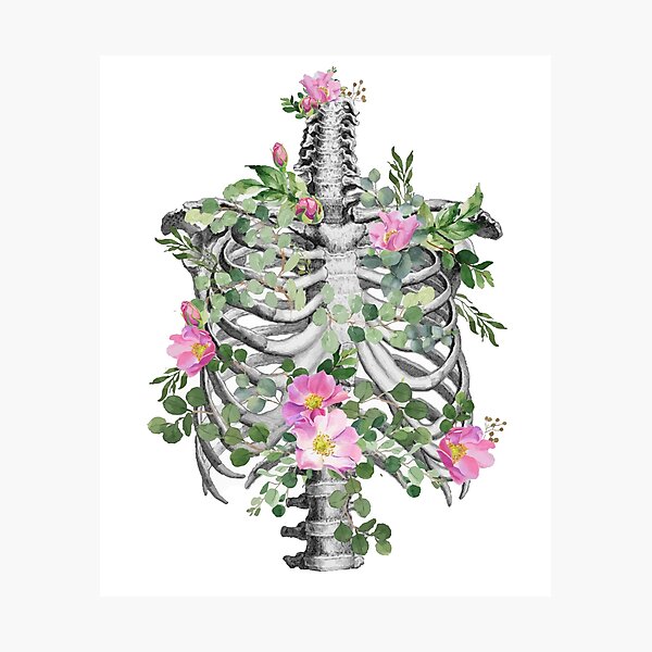 " Anatomy, ribcage, rib cage,skeleton pink roses" Photographic Print ...