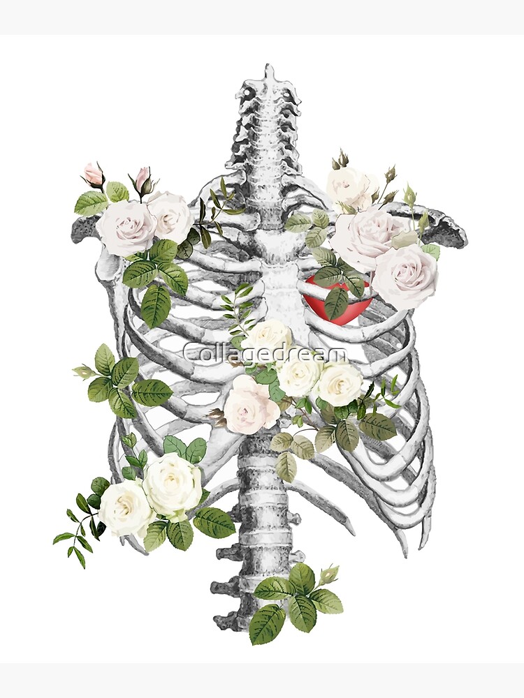 "Anatomy, ribcage, rib cage,skeleton white roses" Poster for Sale by ...