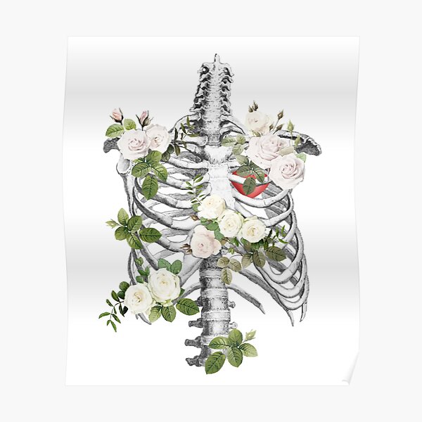 "Anatomy, ribcage, rib cage,skeleton white roses" Poster for Sale by ...
