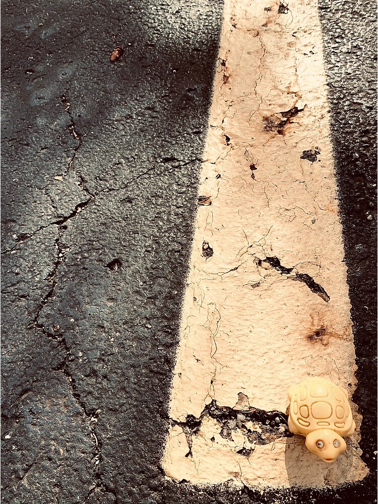 "Turtle tracks" Poster for Sale by Iartjeremy | Redbubble