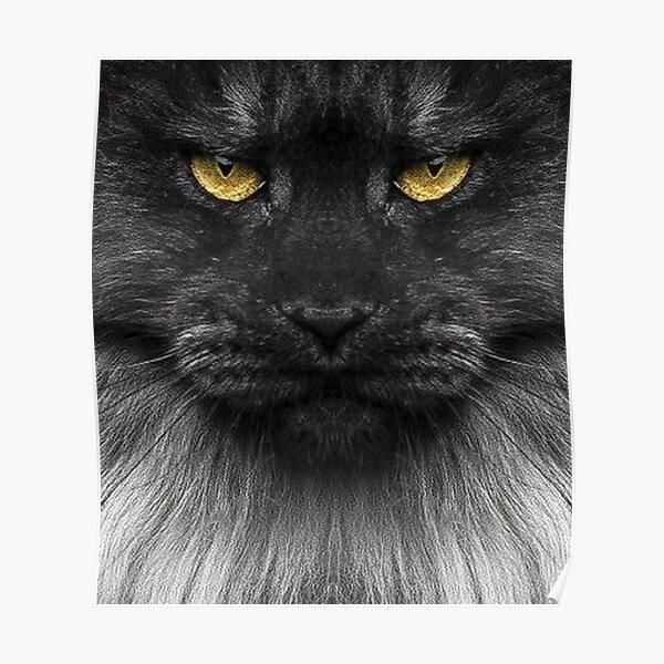 "Maincoon Cat Mouth Mask Cute Animal Smile Funny Kawaii - Black and ...