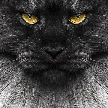 "Maincoon Cat Mouth Mask Cute Animal Smile Funny Kawaii - Black and ...