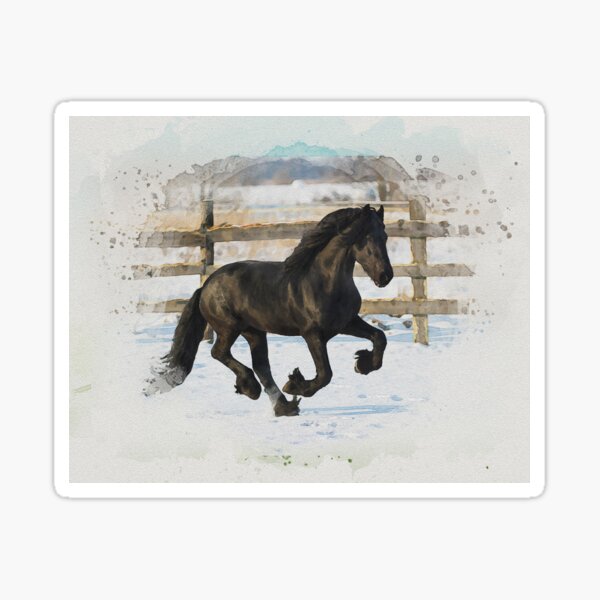 "Friesian in Flight" Sticker for Sale by horseymj1 | Redbubble