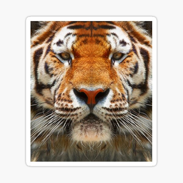 "Tiger Mouth Mask Cute Animal Smile Funny Kawaii" Sticker for Sale by ...