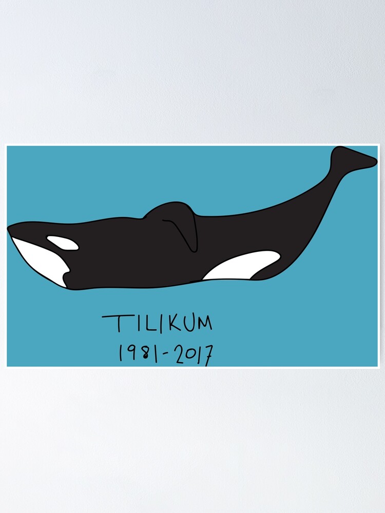 "RIP Tilikum / Tilly the whale" Poster by NeptuneDesign | Redbubble