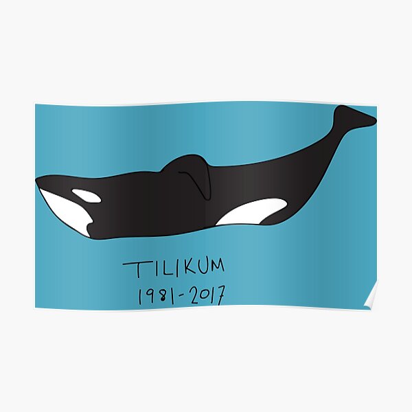"RIP Tilikum / Tilly the whale" Poster by NeptuneDesign | Redbubble