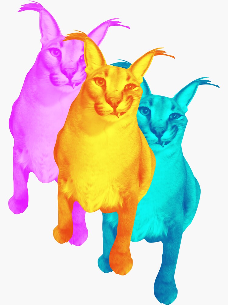 "Colorful Floppa" Sticker by MattLRagle1 | Redbubble