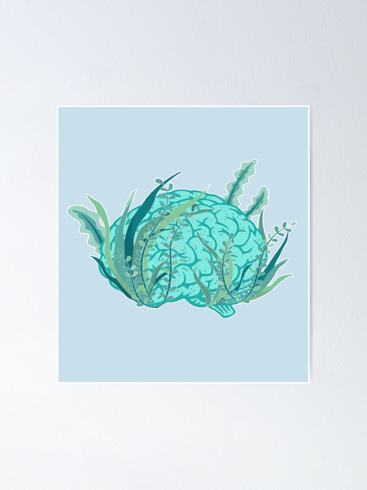 "Seaweed Brain " Poster by LetsGetGEEKY- | Redbubble