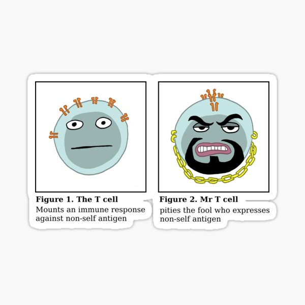 "Mr T cell" Sticker for Sale by velica | Redbubble