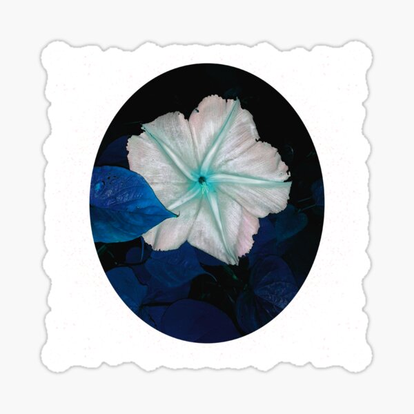 "Moonflower" Sticker by AmandaGoulart | Redbubble