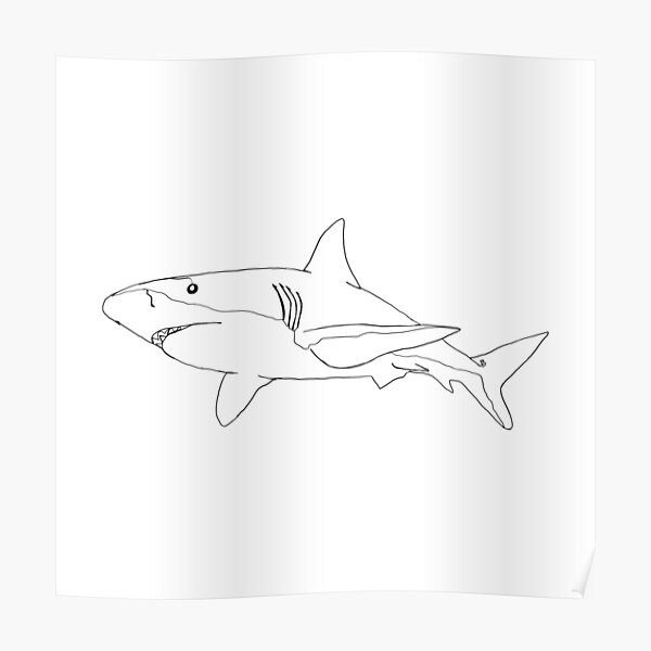 "One Line Shark" Poster for Sale by SaraGoldArt | Redbubble