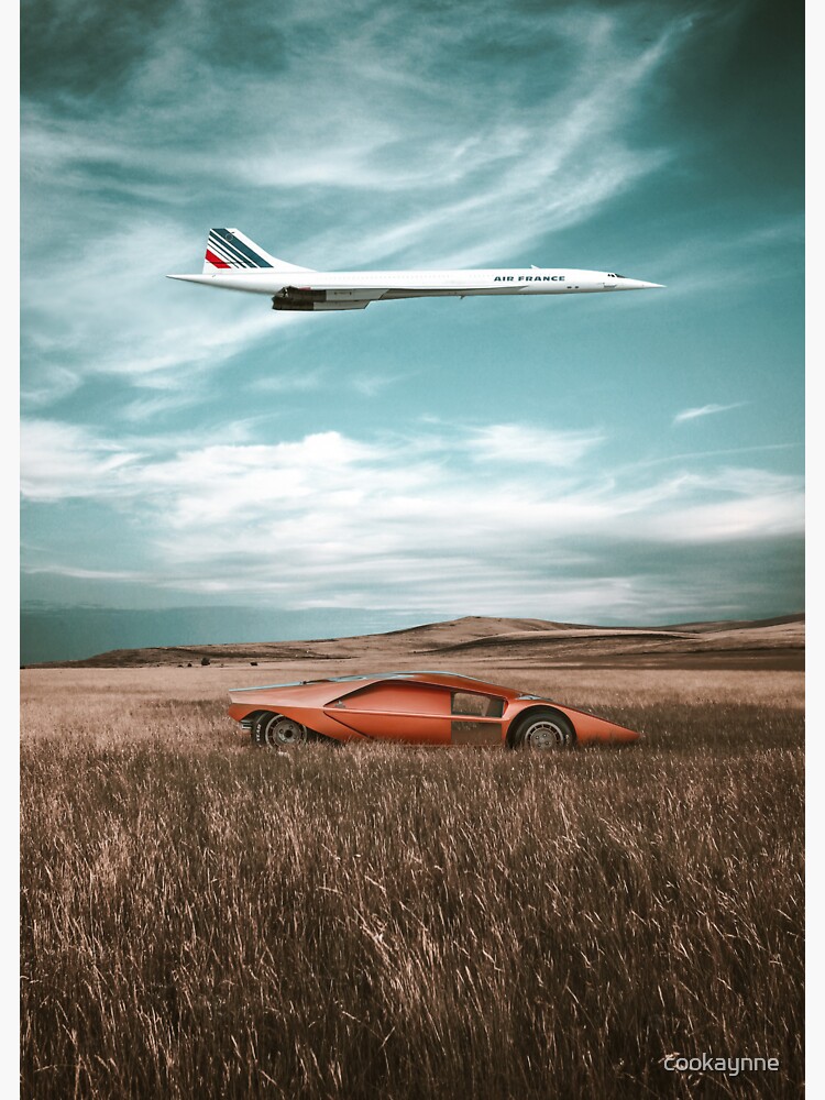 "concord" Sticker for Sale by cookaynne | Redbubble