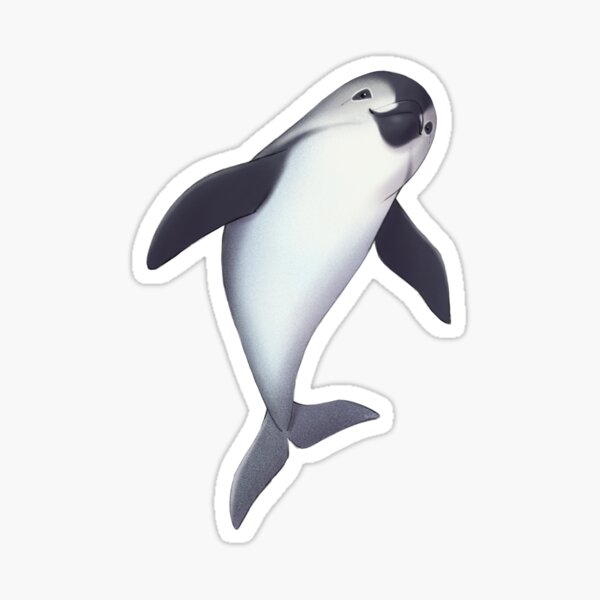 "Vaquita" Sticker by PaulaBS | Redbubble