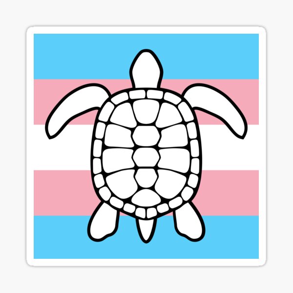 "pride turtles - trans" Sticker for Sale by goblinbabe | Redbubble