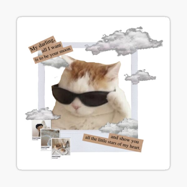 "kitty meme" Sticker for Sale by AIKOMAIMI | Redbubble