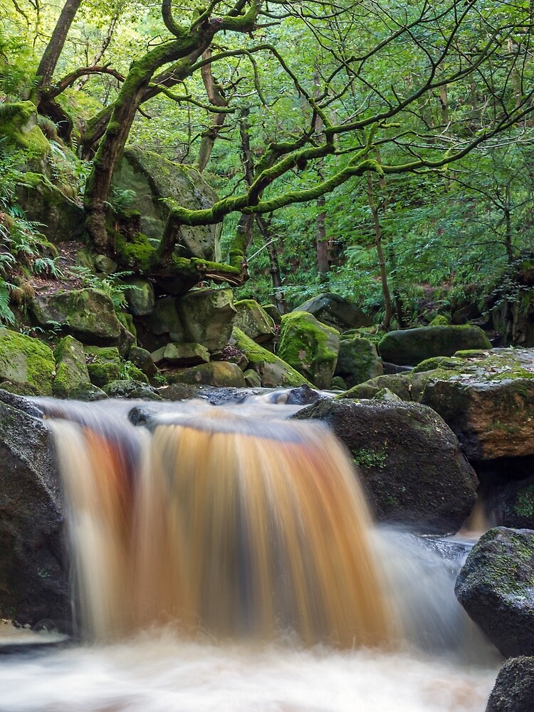 "Padley Gorge, Peak District" Poster for Sale by jimbo0307 | Redbubble