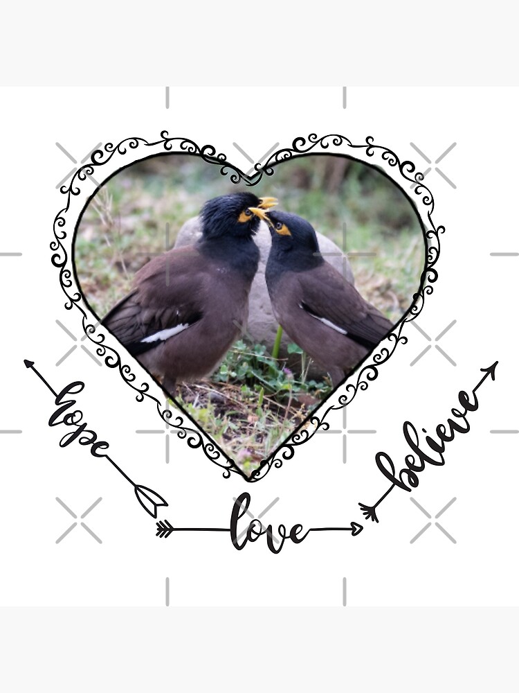 "Indian Myna" Poster by enchantfashion | Redbubble