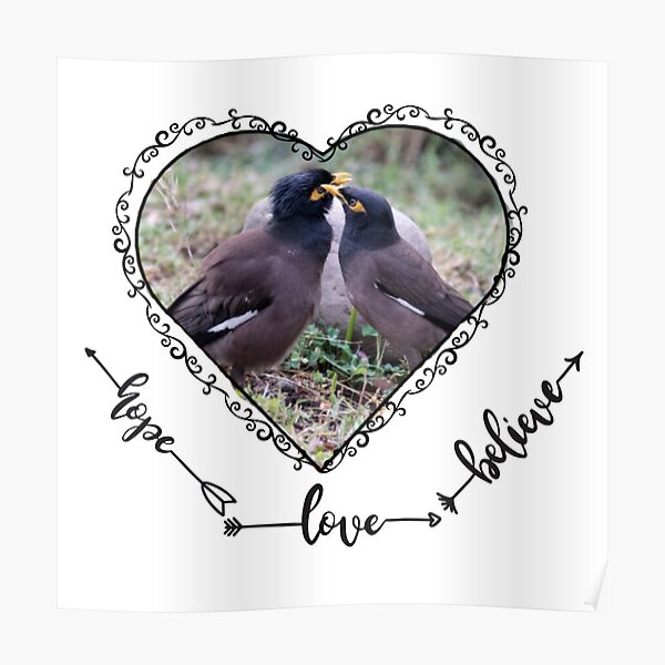 "Indian Myna" Poster by enchantfashion | Redbubble