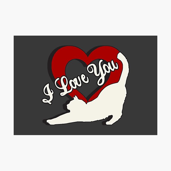 Lámina fotográfica «Te amo, mi gato, diseño encantador del corazón y ...