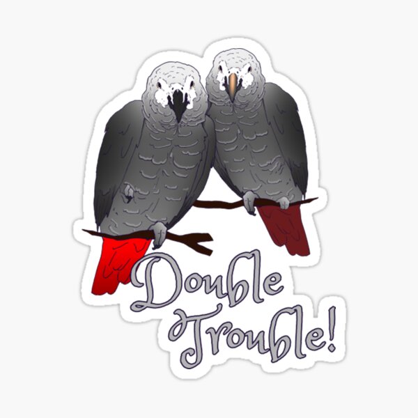 Craft Supplies & Tools Scrapbooking Outdoor Quality 1-3pc Package ...