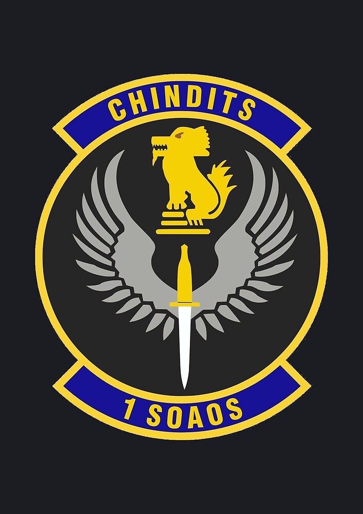 "1st Special Operations Air Operations Squadron (1 SOAOS) - USAF" by ...