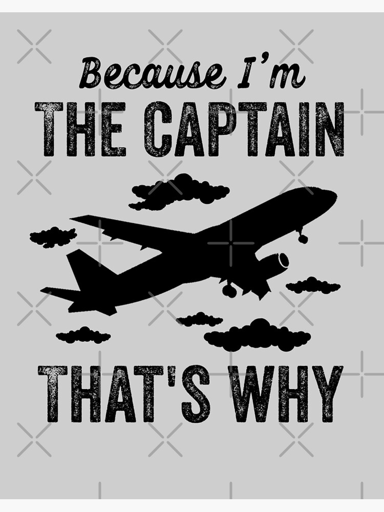 Funny Avionics Quotes Aircraft Mechanic Funny Gift Aviation Airplane