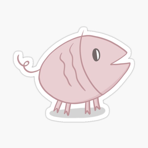 Pigfish Gifts & Merchandise | Redbubble