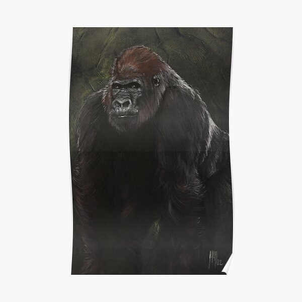 "Silverback Gorilla Portrait" Poster for Sale by Bravo-Designs | Redbubble