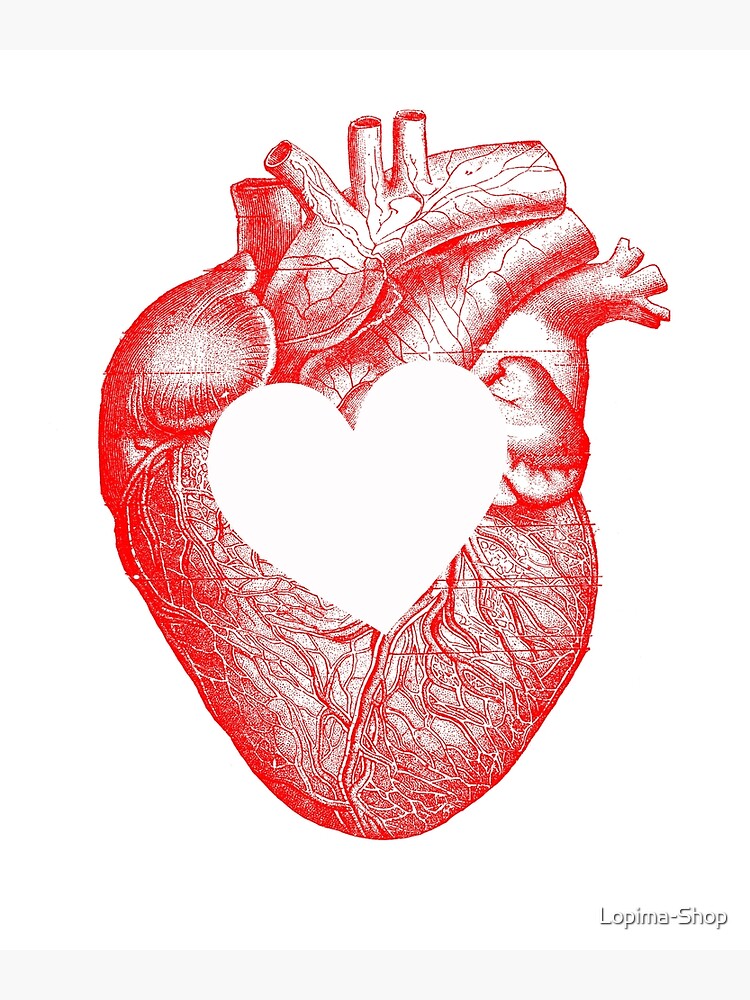 "Funny Valentine's day Vintage Heart Anatomy Romantic Couple,lovers ...