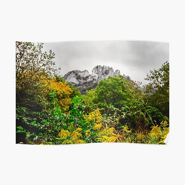 "Seneca Rocks Pokeweed & Goldenrod" Poster for Sale by jodiewitmer ...