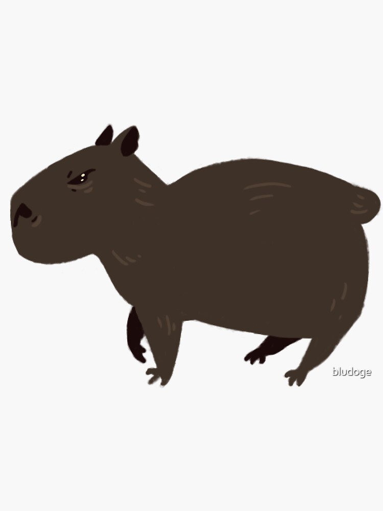 "Grumpy Capybara " Sticker for Sale by bludoge | Redbubble