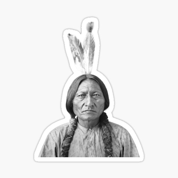 "Sitting Bull Portrait - Dakota Territory - By David Barry - Circa 1883 ...
