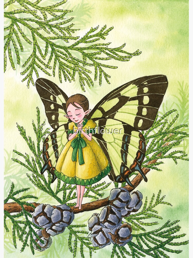 "December 31st birthday flower" Sticker for Sale by birthflower | Redbubble