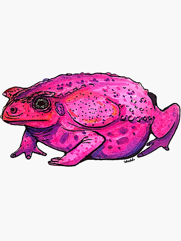 "Pink Toad" Sticker for Sale by CypressDesigns | Redbubble