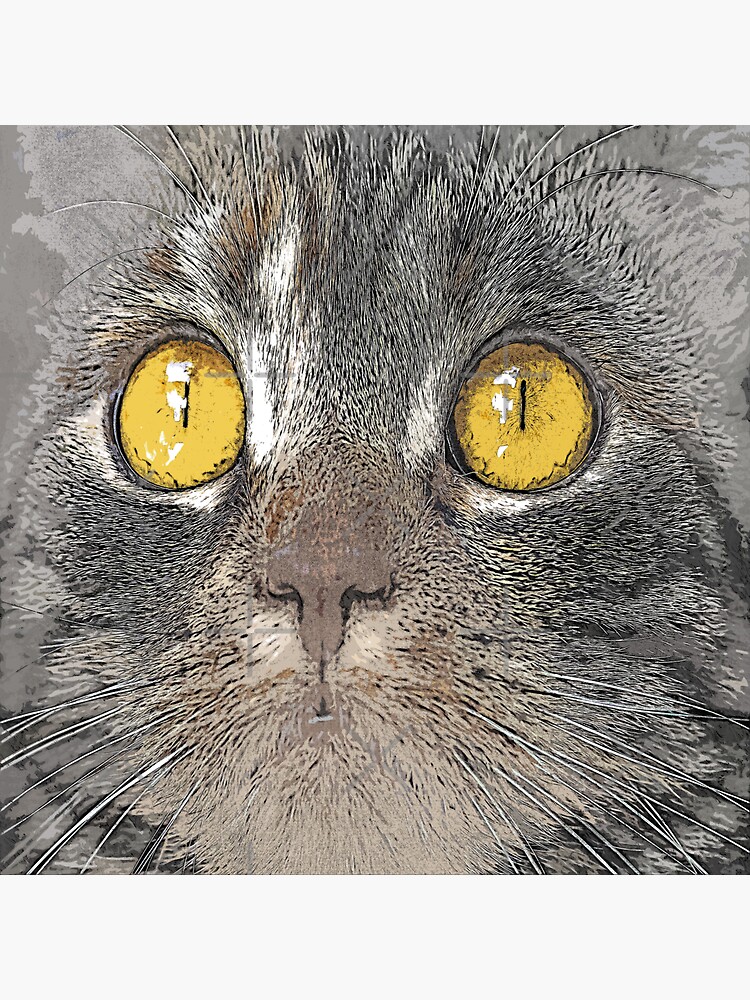 "Grumpy gray cat color art" Sticker by artdragongift | Redbubble