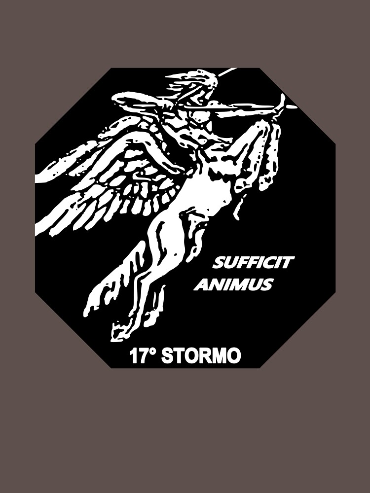 "17º Stormo Incursori - 17th Raiders Wing (Italian Air Force Special ...