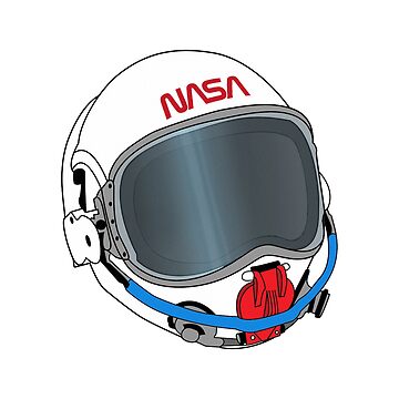 Nasa Motorcycle Helmet